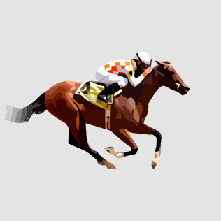 Ganyan Canavarı - Türkiye'nin At Yarışları Platformu